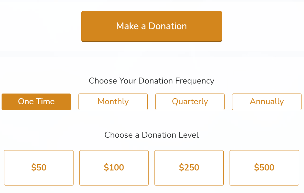 10 Donation Page Examples To Help You Crush Fundraising in 2022 ...